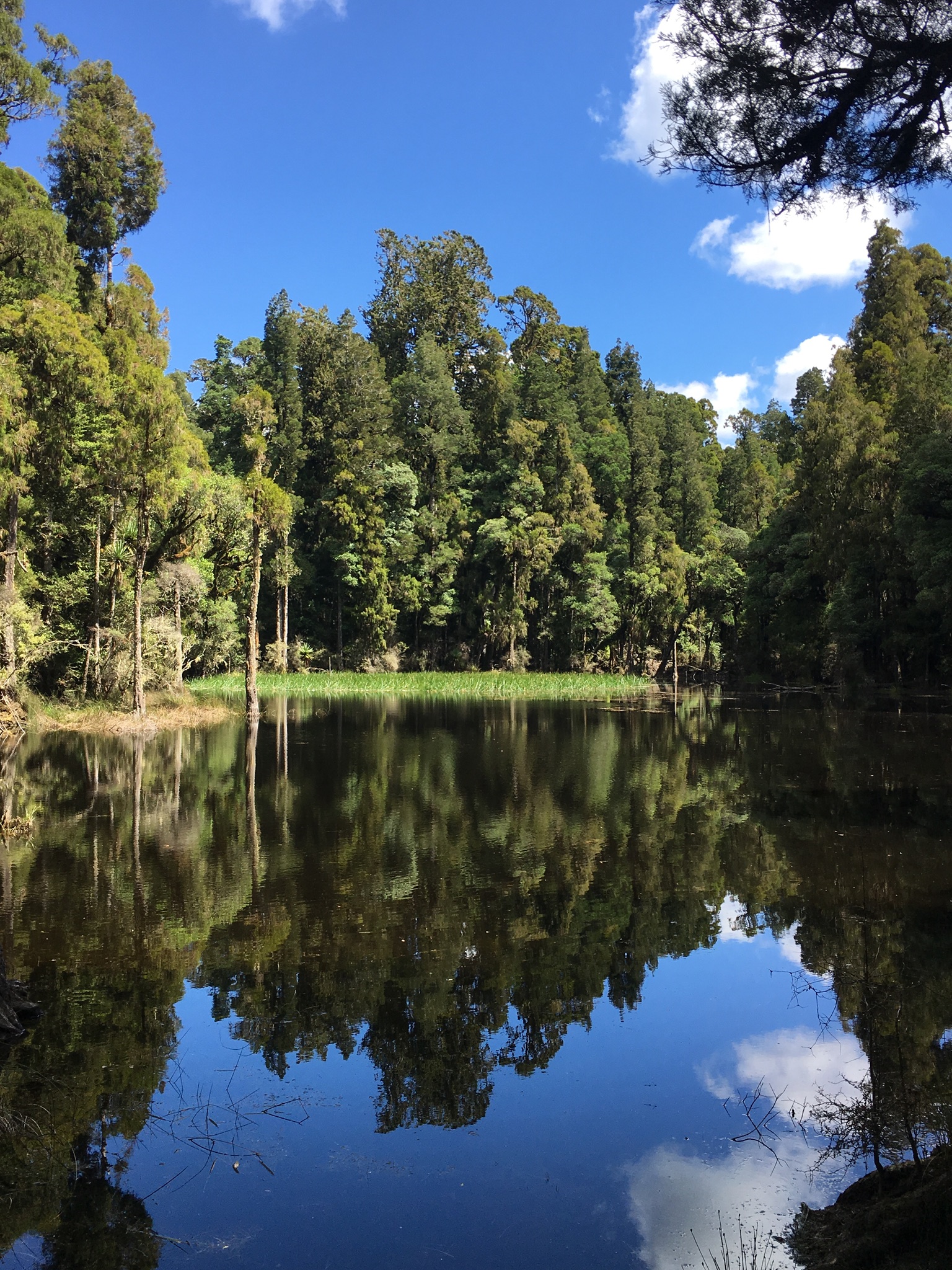 Feb 16 Waitomo to Turangi – Two Tramps