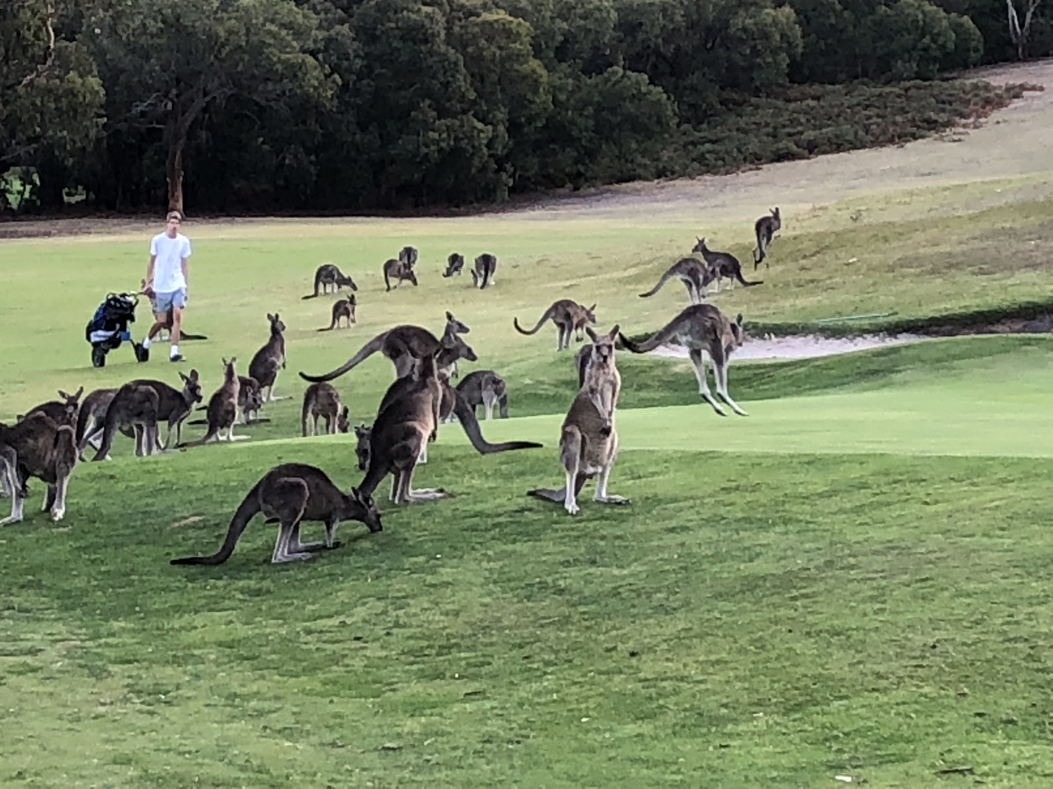 Apr 2 Launceston to Lorne – Two Tramps