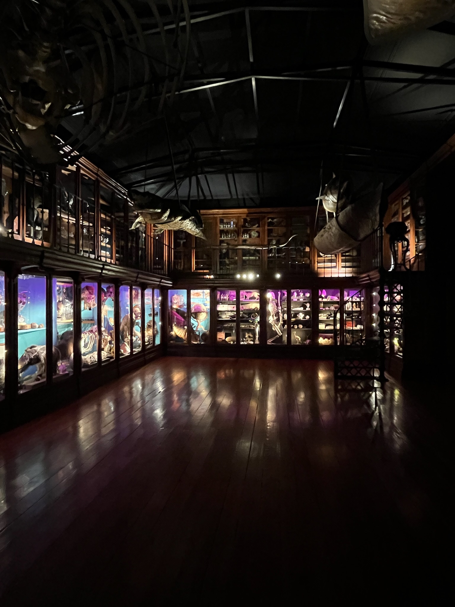 May 6, Coimbra – Two Tramps